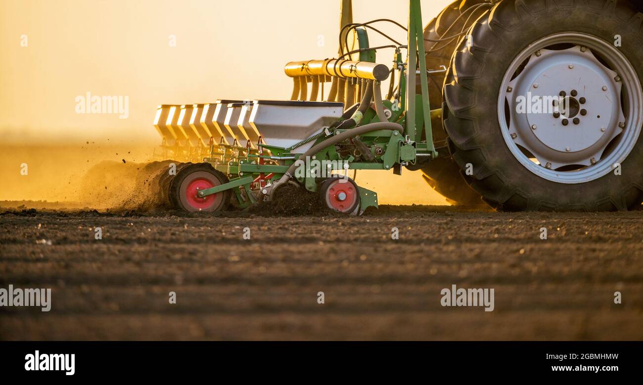 Farmer seeding, sowing crops at field. Sowing is the process of ...