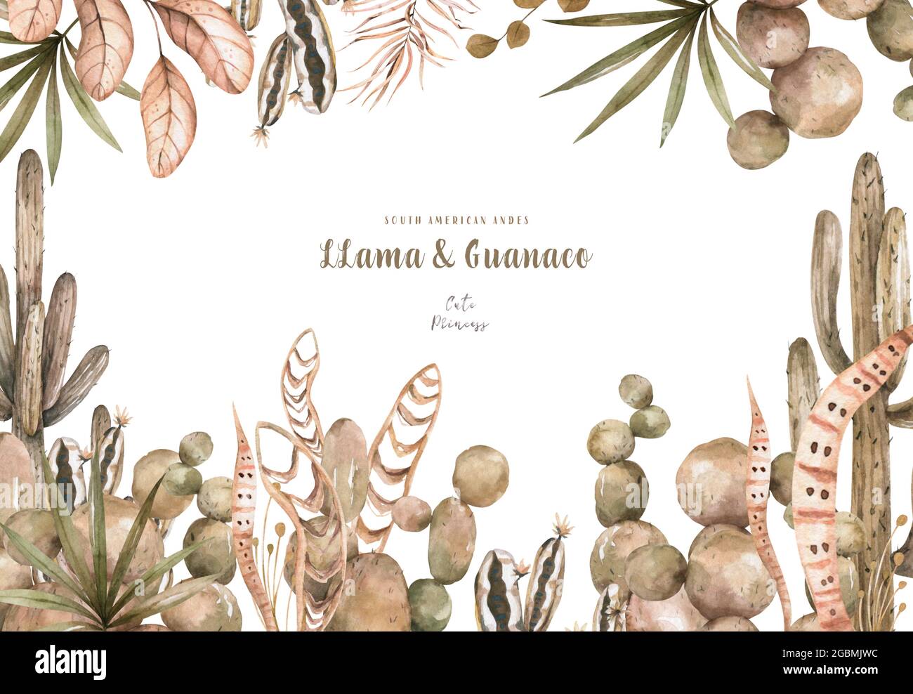 Banner, template for cards with cactuses . image of brown cacti frame ...