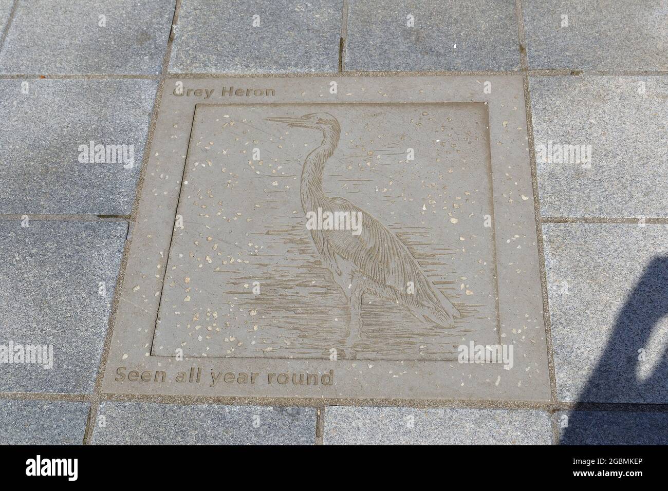 Glenlee and the Clyde Stock Photo - Alamy