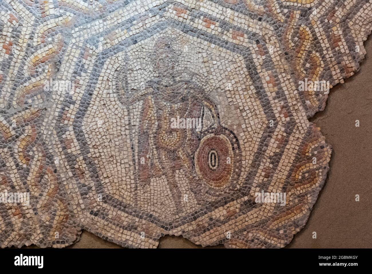 England, Hampshire, Andover, Andover Museum and Museum of the Iron Age ...