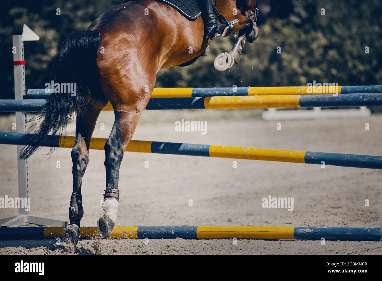 The horse overcomes an obstacle. Equestrian sport, jumping. Overcome ...