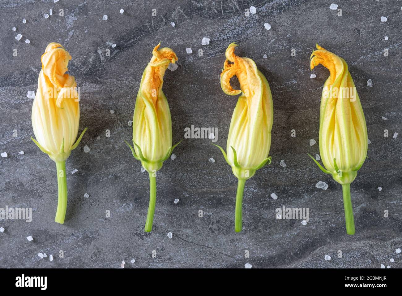 Fresh courgette Male Zucchini Blossoms Squash Flowers with salt ...
