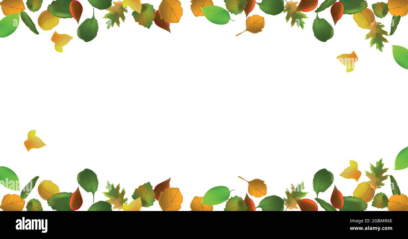 Realistic autumn leaves on a light background - Vector illustration ...