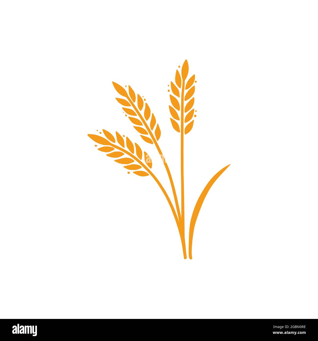 Wheat, barley, rice icon. Hand drawn sketch style oat with grain. Wheat ...
