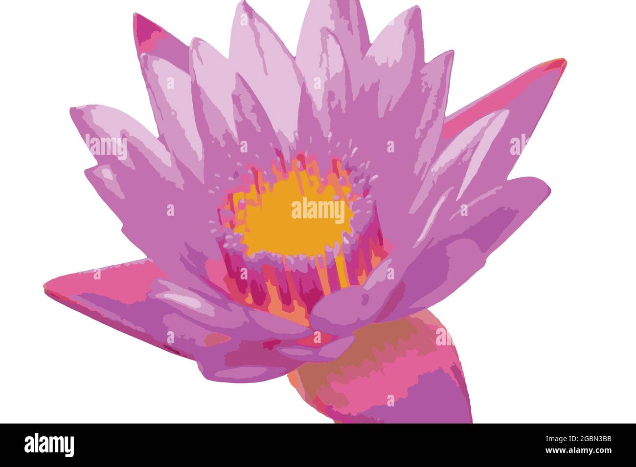 Flamingo vector portrait on a solid white background Stock Vector Image ...