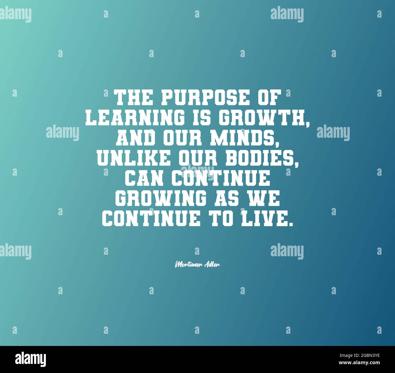 Inspirational motivation quote about learning and growth Stock Photo ...
