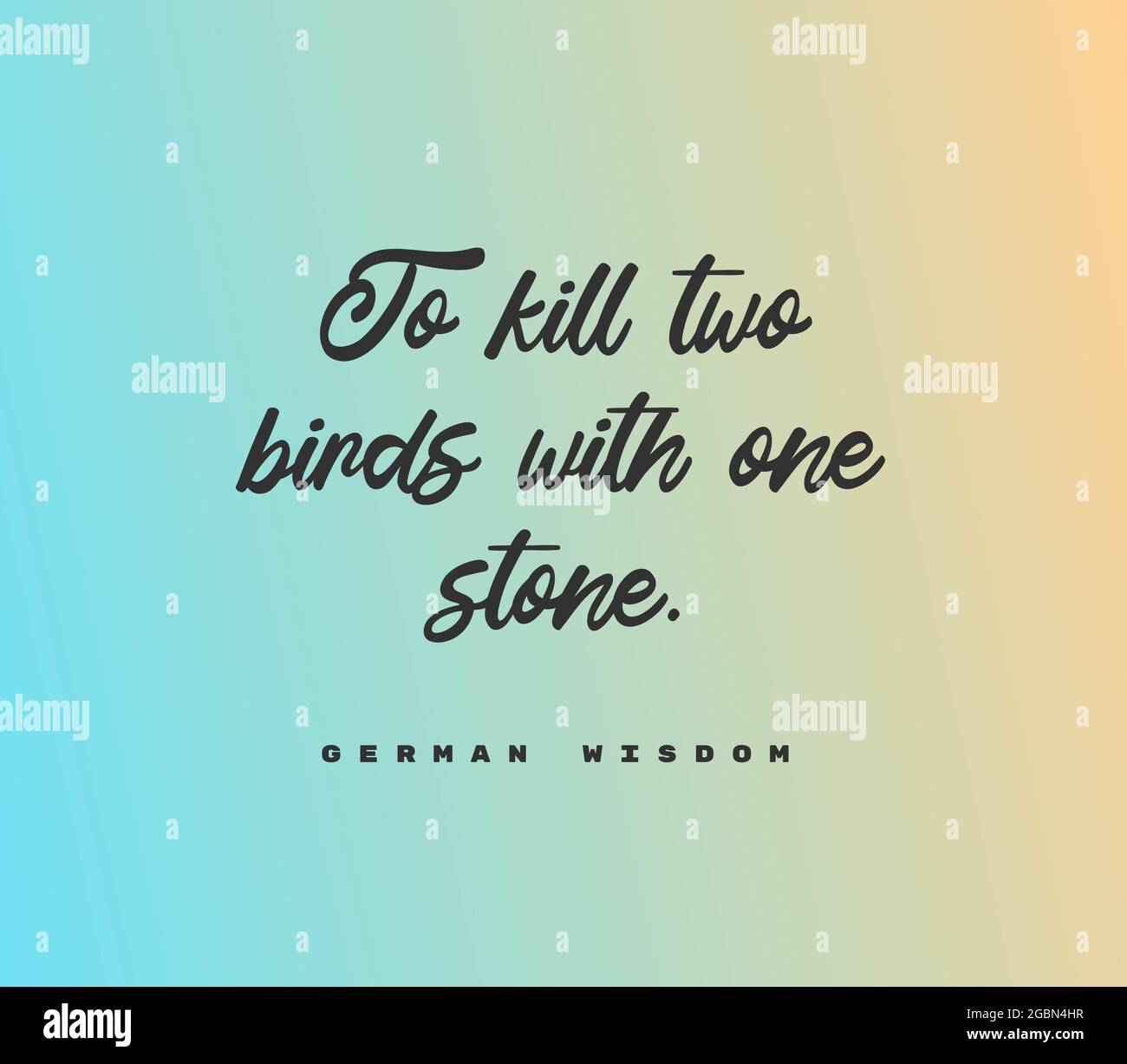 Inspirational quote - To kill two birds with one stone Stock Photo - Alamy