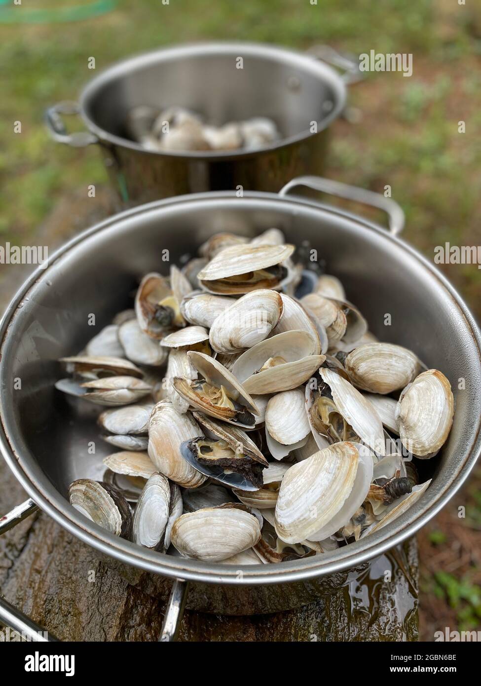 New England Clam Bake Stock Photo - Alamy