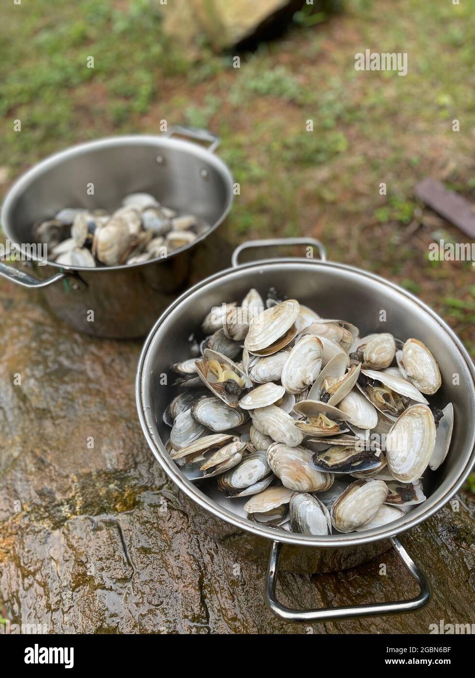 New England Clam Bake Stock Photo - Alamy