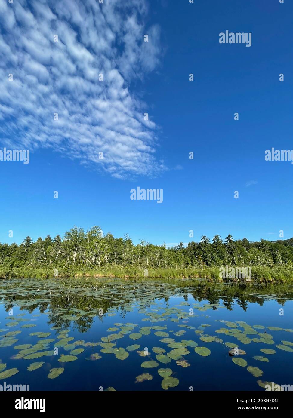 Calm Lake Water Reflection Stock Photo - Alamy