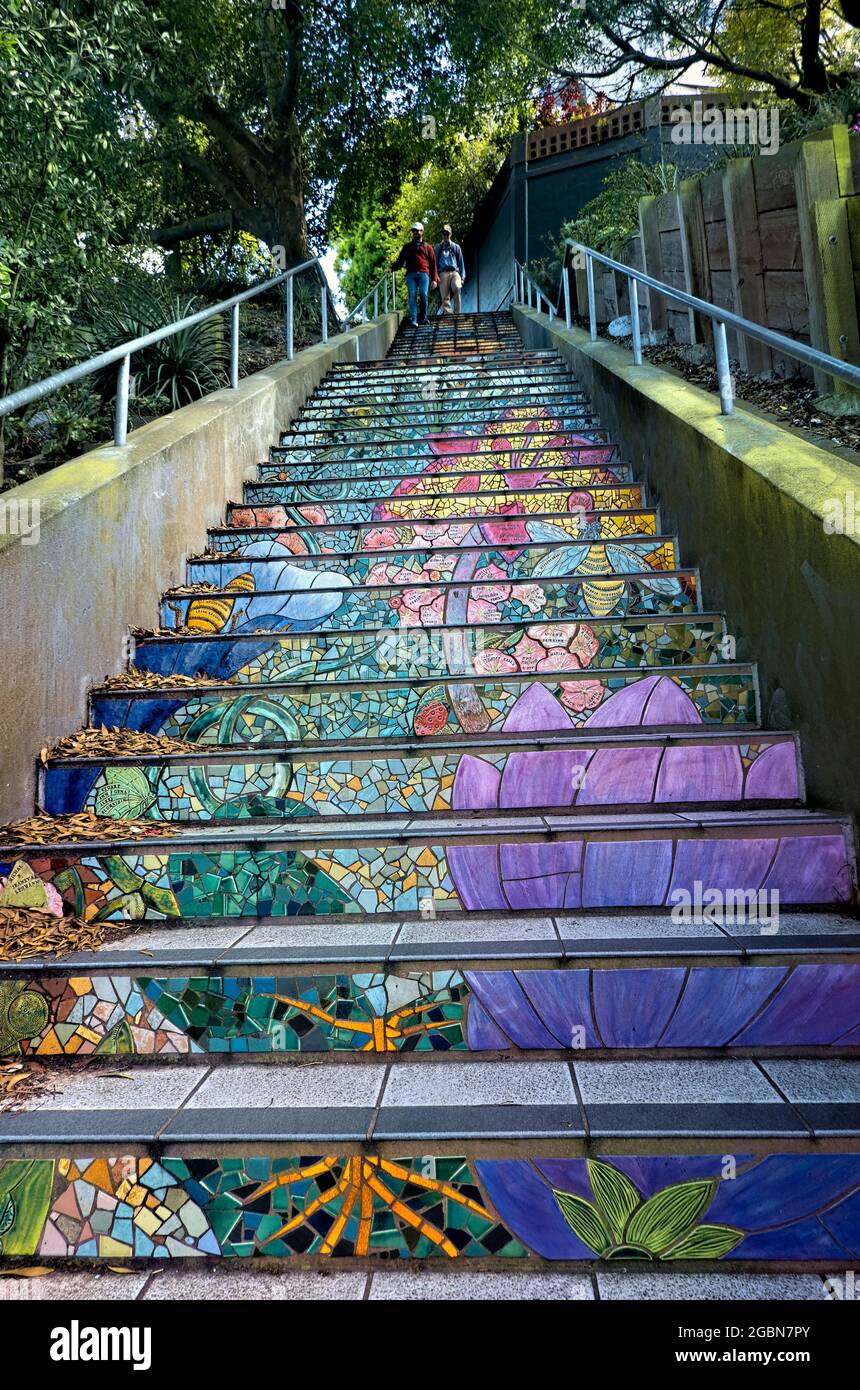 The Hidden Garden steps, San Francisco, California, U.S.A Stock Photo ...