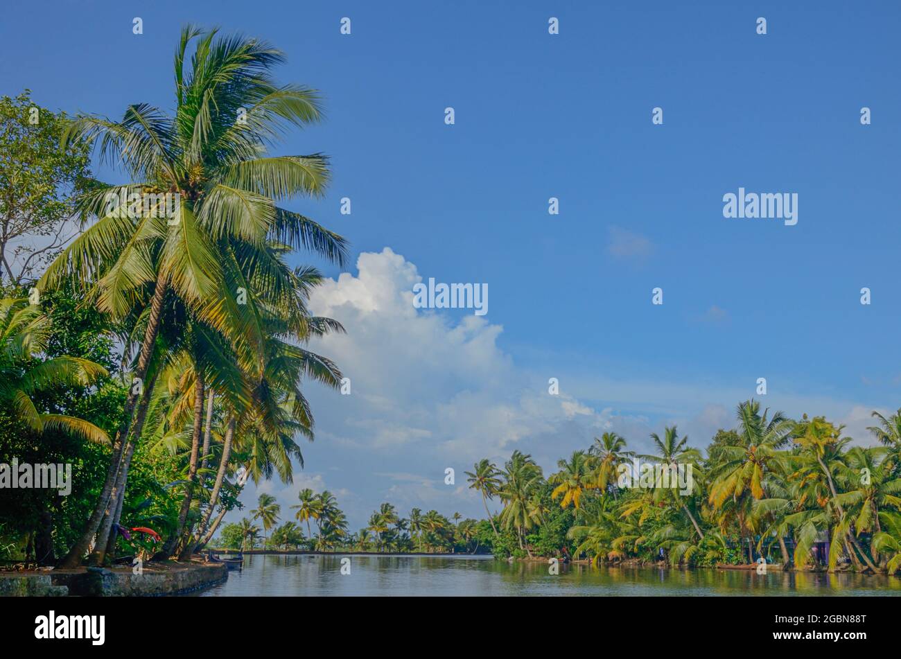 Beautiful Landscape at Alleppey backwaters, Kerala, India Stock Photo ...