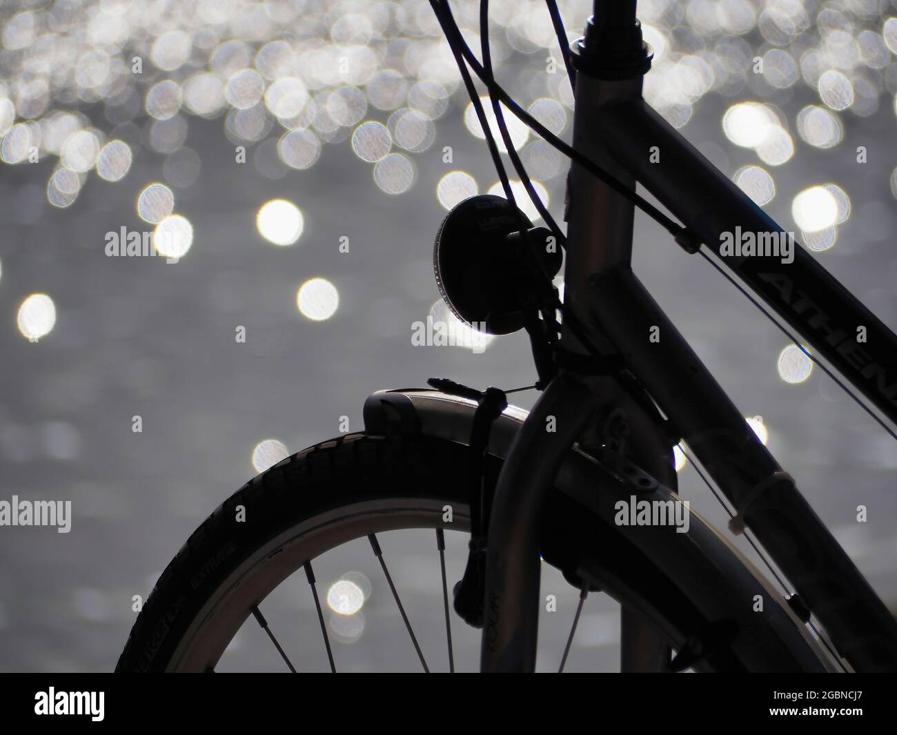 Grayscale of a black bike wheel with shining bokeh blurred water in background on a sunny day ...