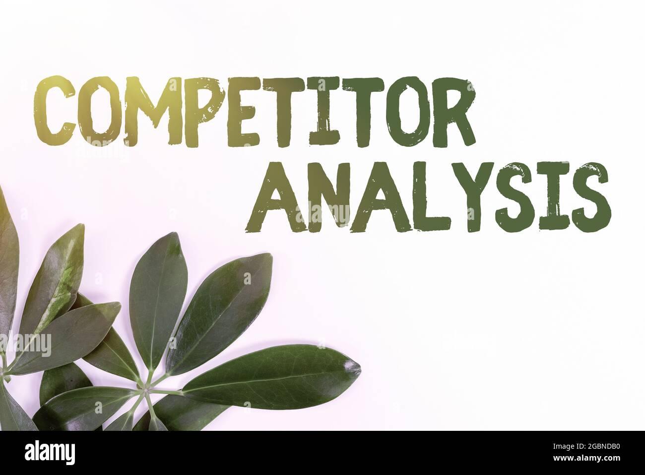 Text caption presenting Competitor Analysis. Business showcase ...