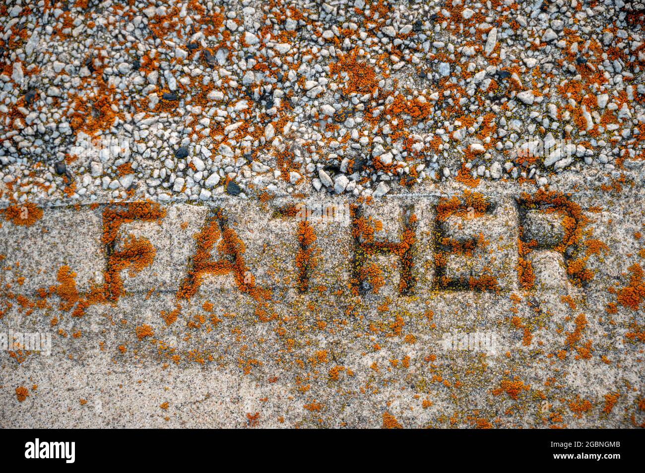 Old grave slab with cross hi-res stock photography and images - Alamy