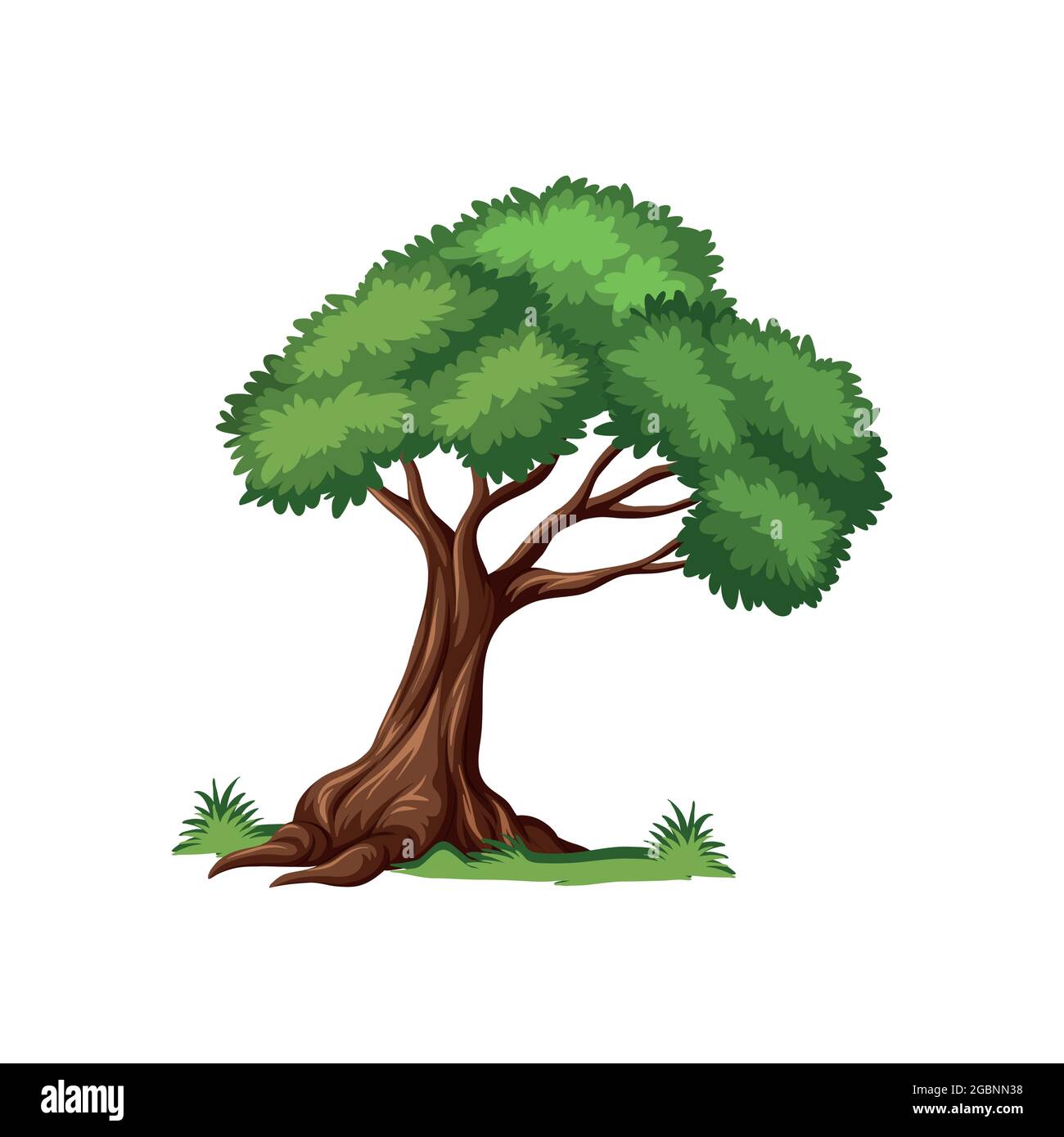 A Vector Illustration of Tree Illustration with green leaf and green ...