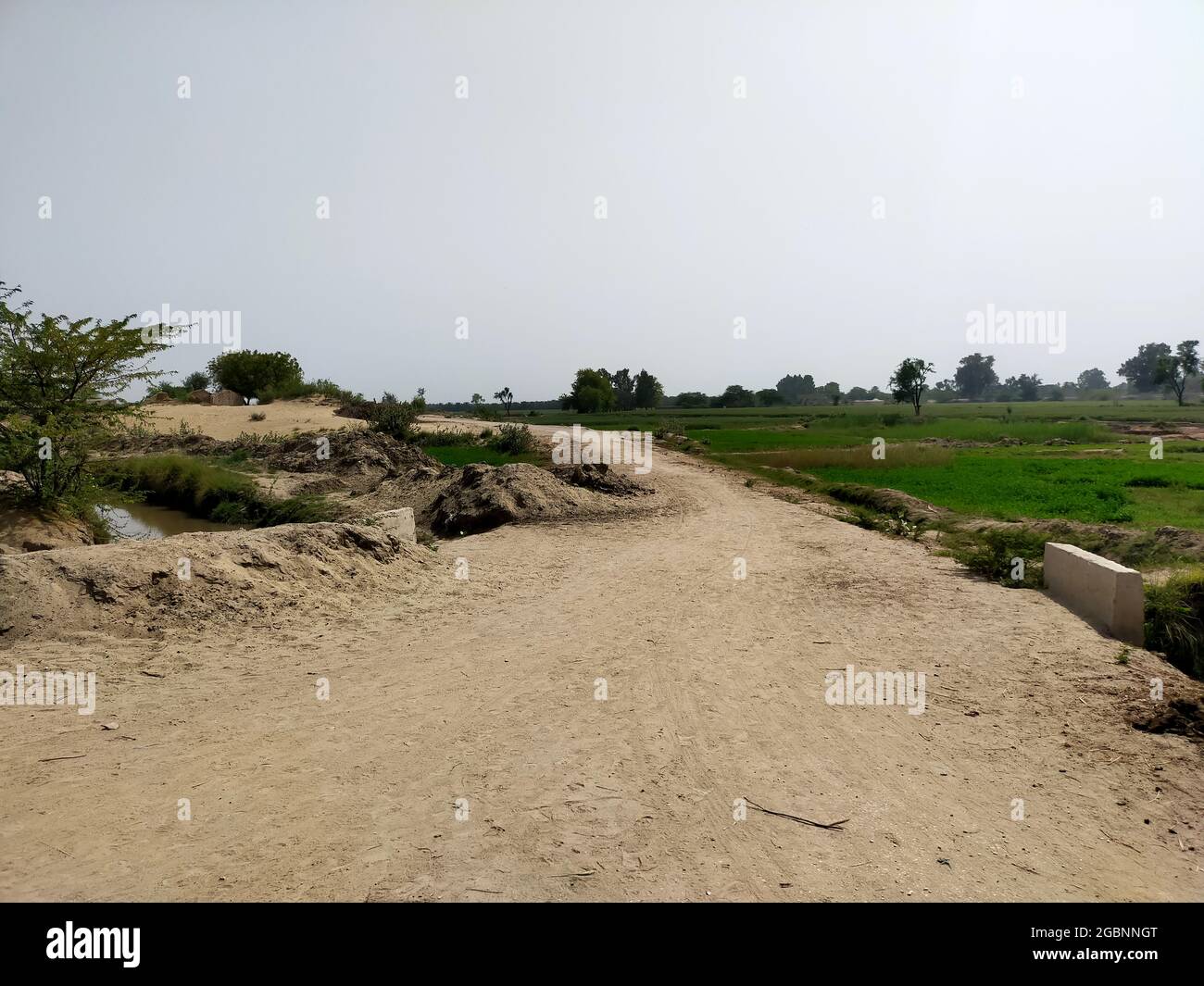 View of a deserted place with the ground covered in sand and trees ...