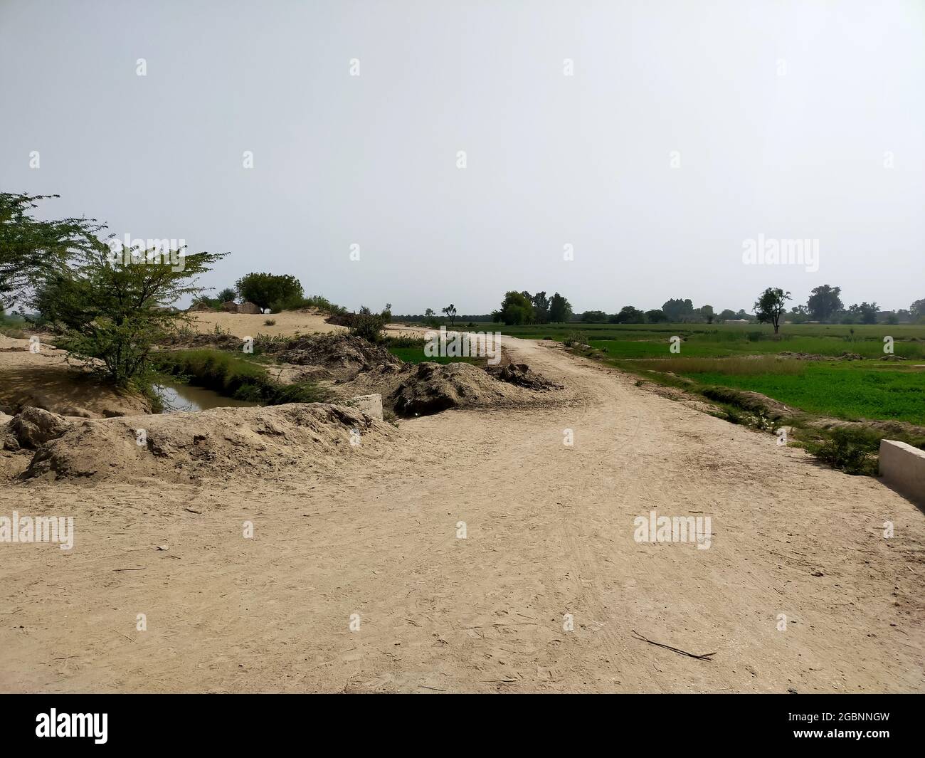View of a deserted place with the ground covered in sand and trees ...