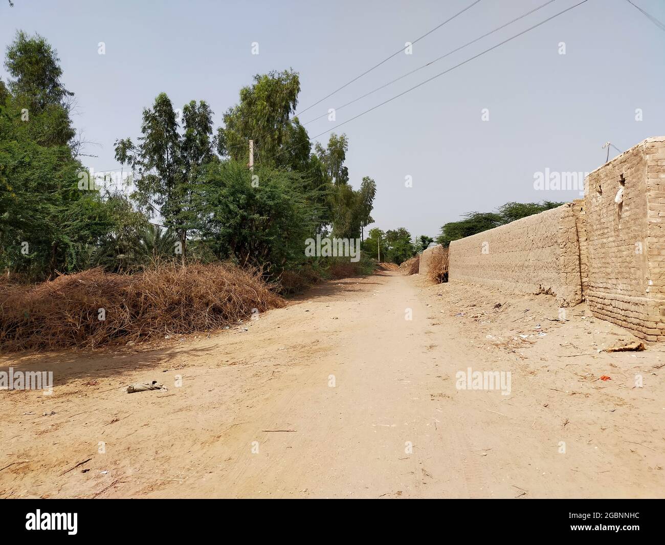 View of a deserted place with the ground covered in sand and trees ...