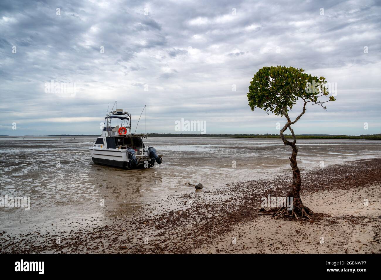 POONA, AUSTRALIA - Jul 06, 2021: A boat and mangrove tree in Poona ...