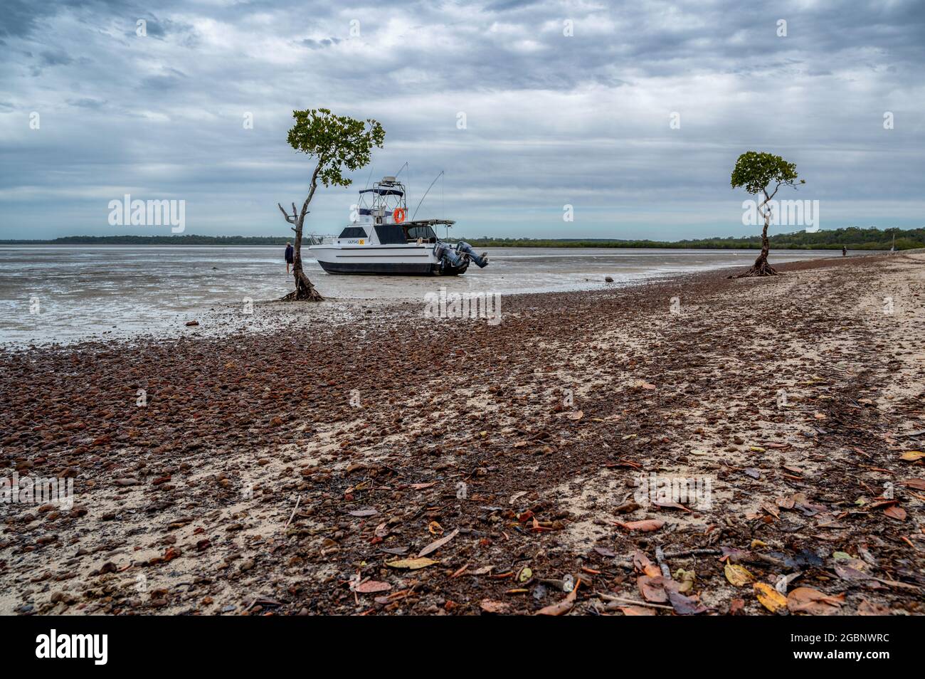 POONA, AUSTRALIA - Jul 06, 2021: A boat between two mangrove trees in ...
