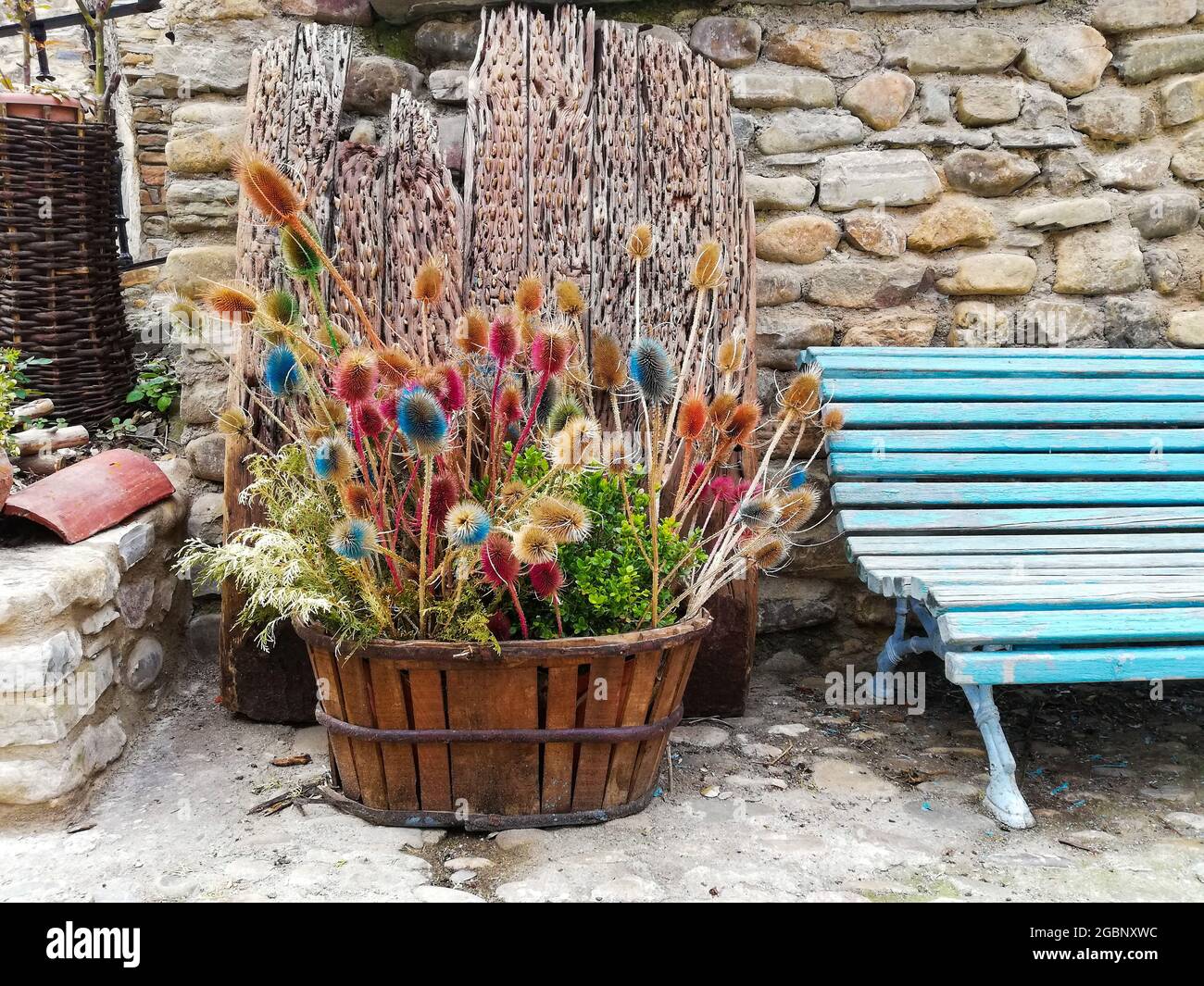 Rural flowerpot full of decorative and eye-catching colored thistles ...