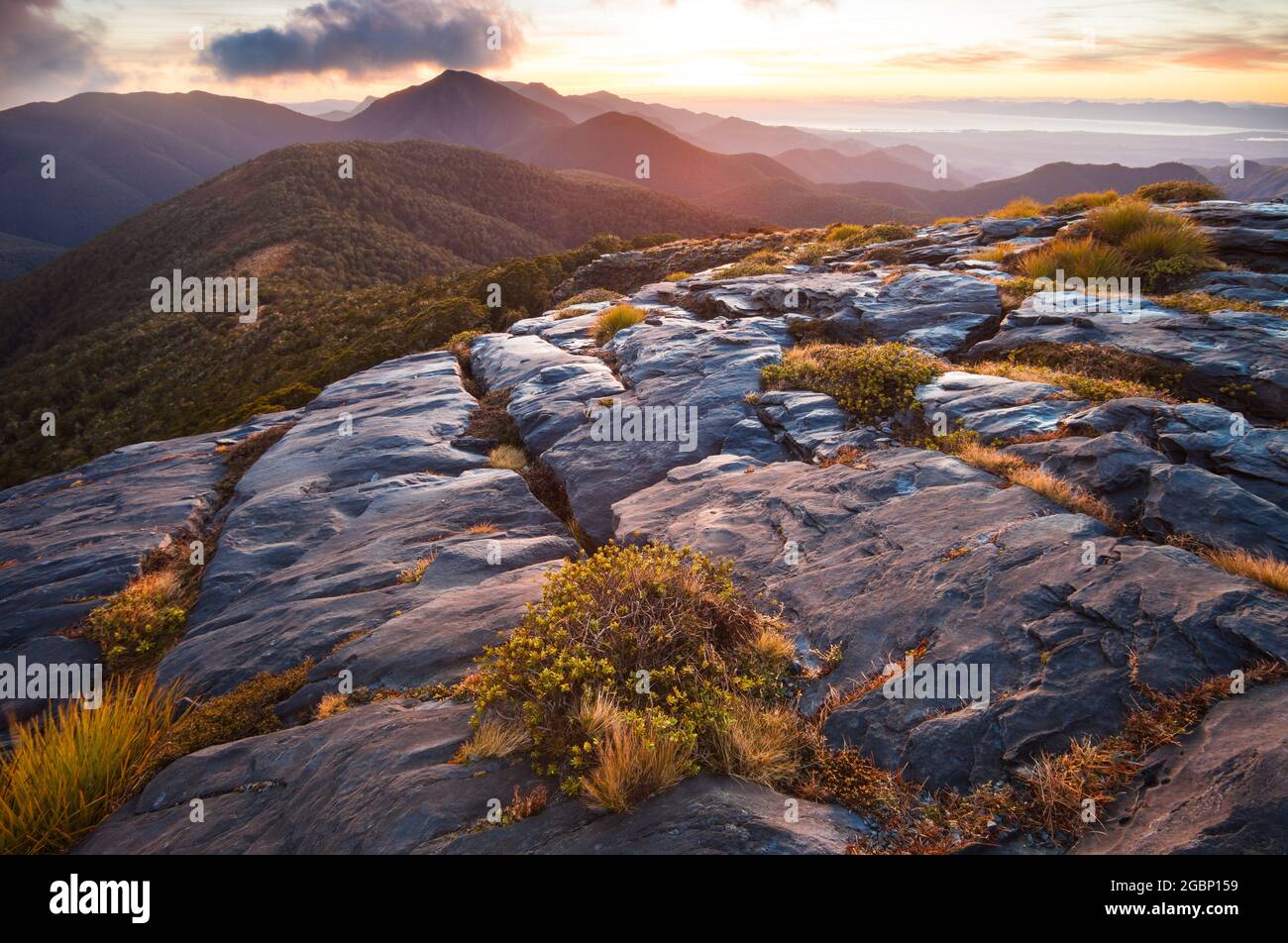 North west nelson forest park hi-res stock photography and images - Alamy