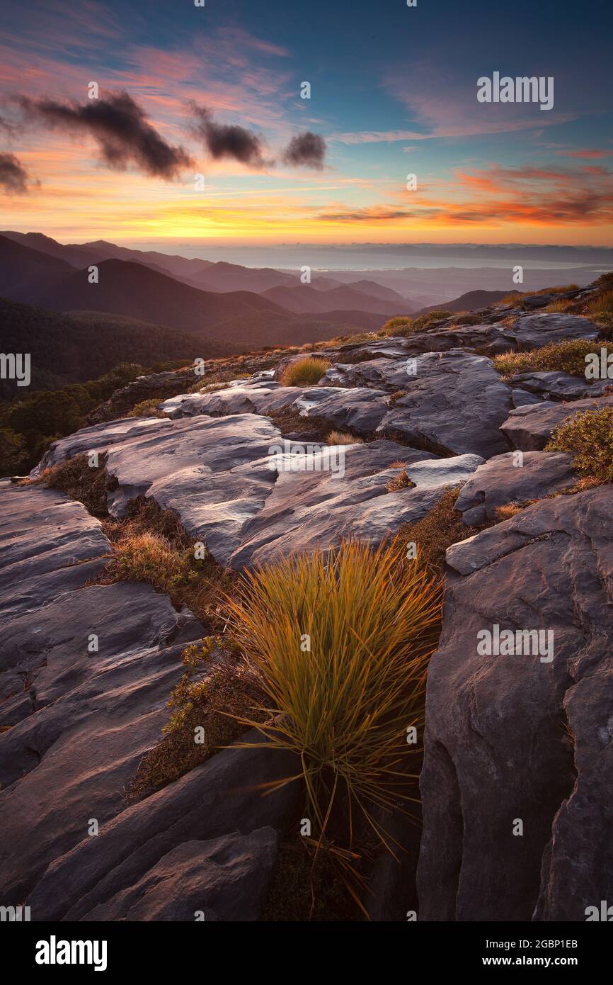 Kahurangi national park north island hi-res stock photography and ...
