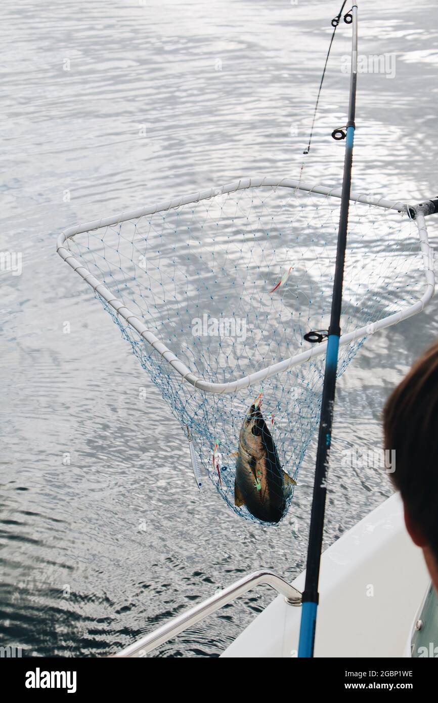 Hooked net hi-res stock photography and images - Alamy