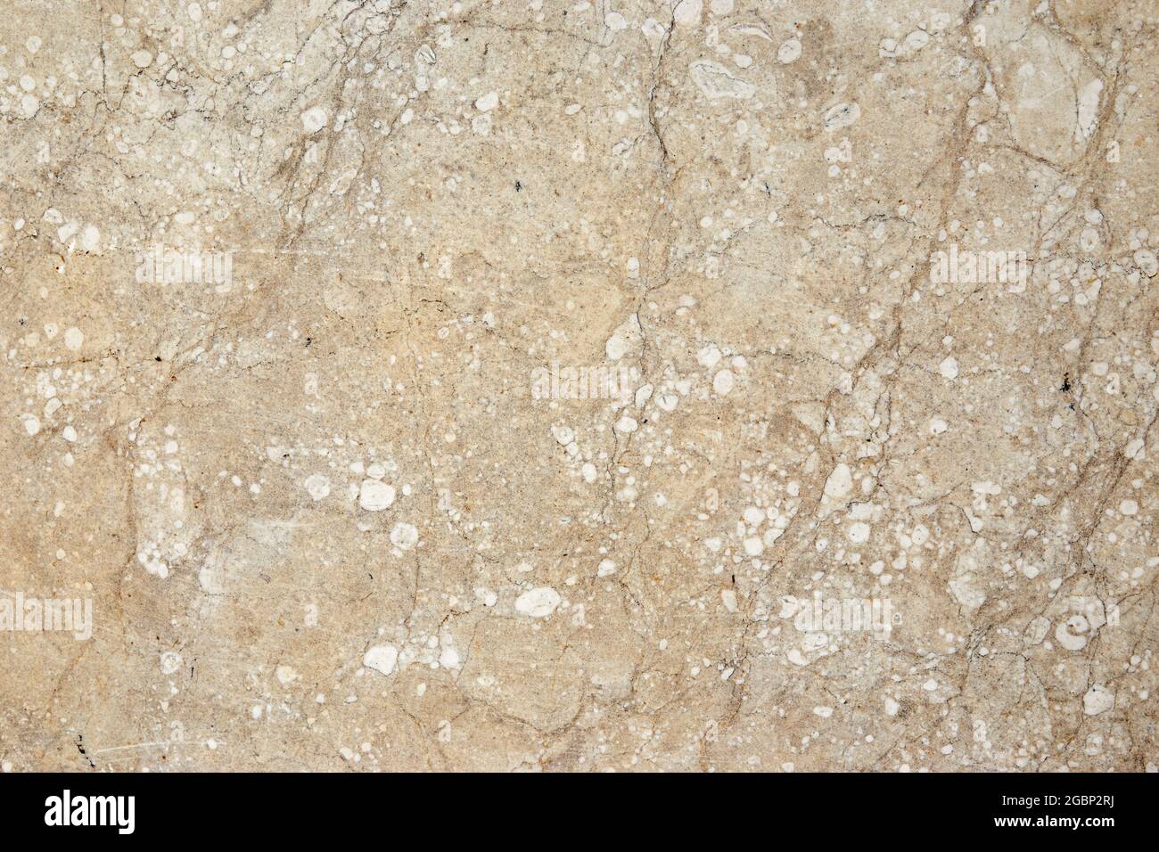 Beige Granite Texture
