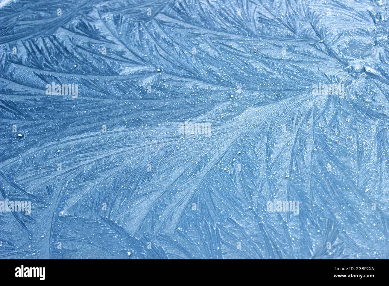 Fantasy sparkling flowers hi-res stock photography and images - Alamy