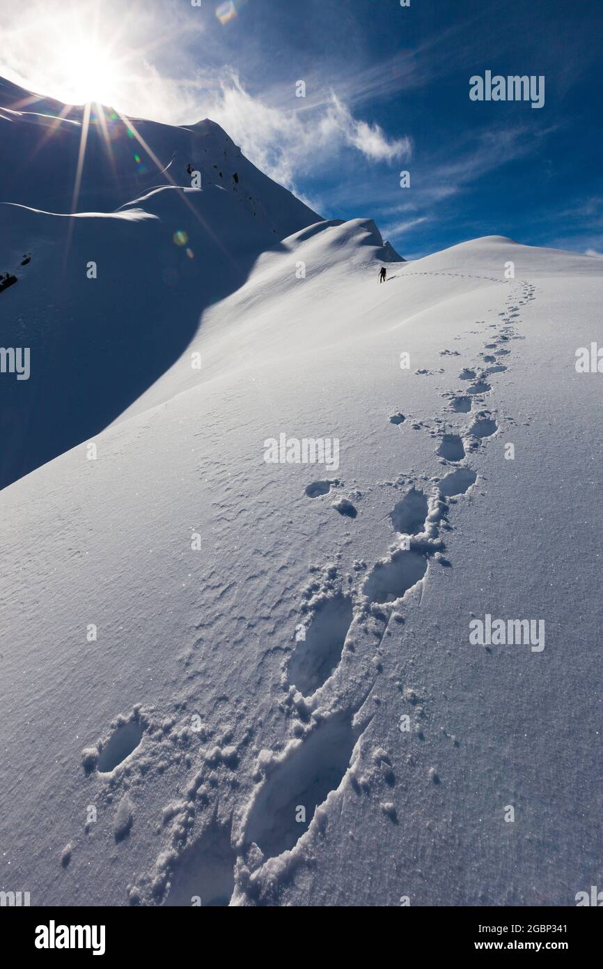 A mountaineer plugs steps in winter snow on the south east ridge of ...