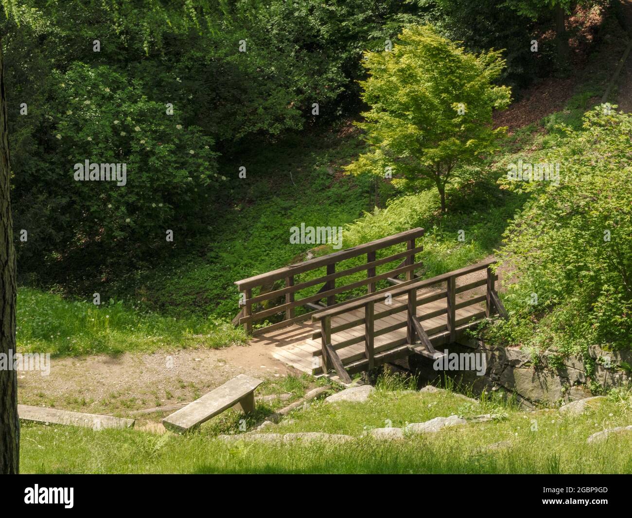Wooden bridge crossing the river in the woods.Nature landscape with ...