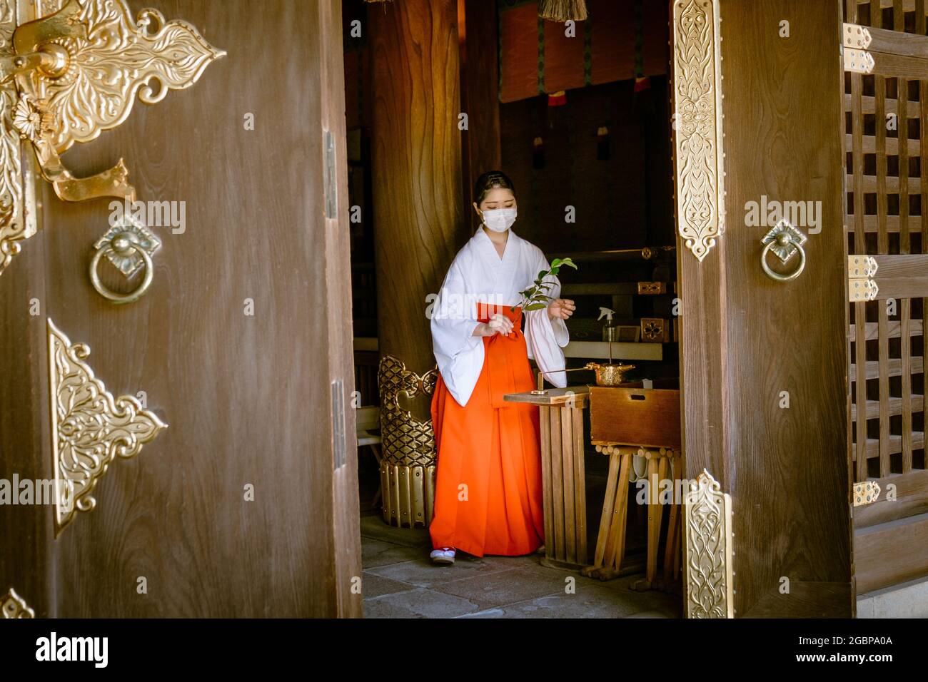 Miko, a servant to the Shinkan (high priest), at the Mishima Taisha, a ...