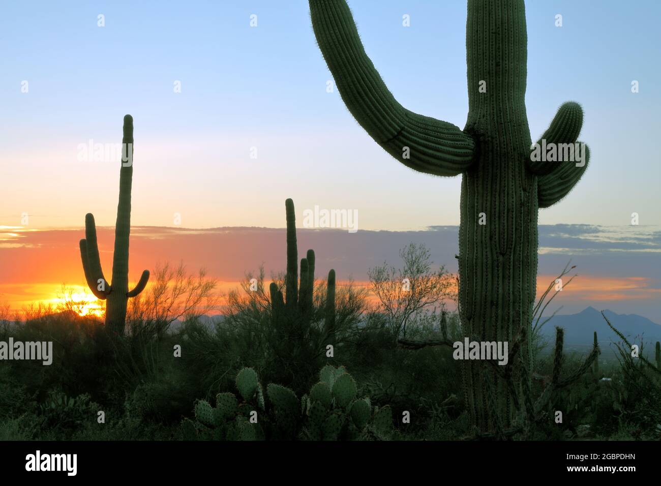 Tucson arizona sunset hi-res stock photography and images - Alamy