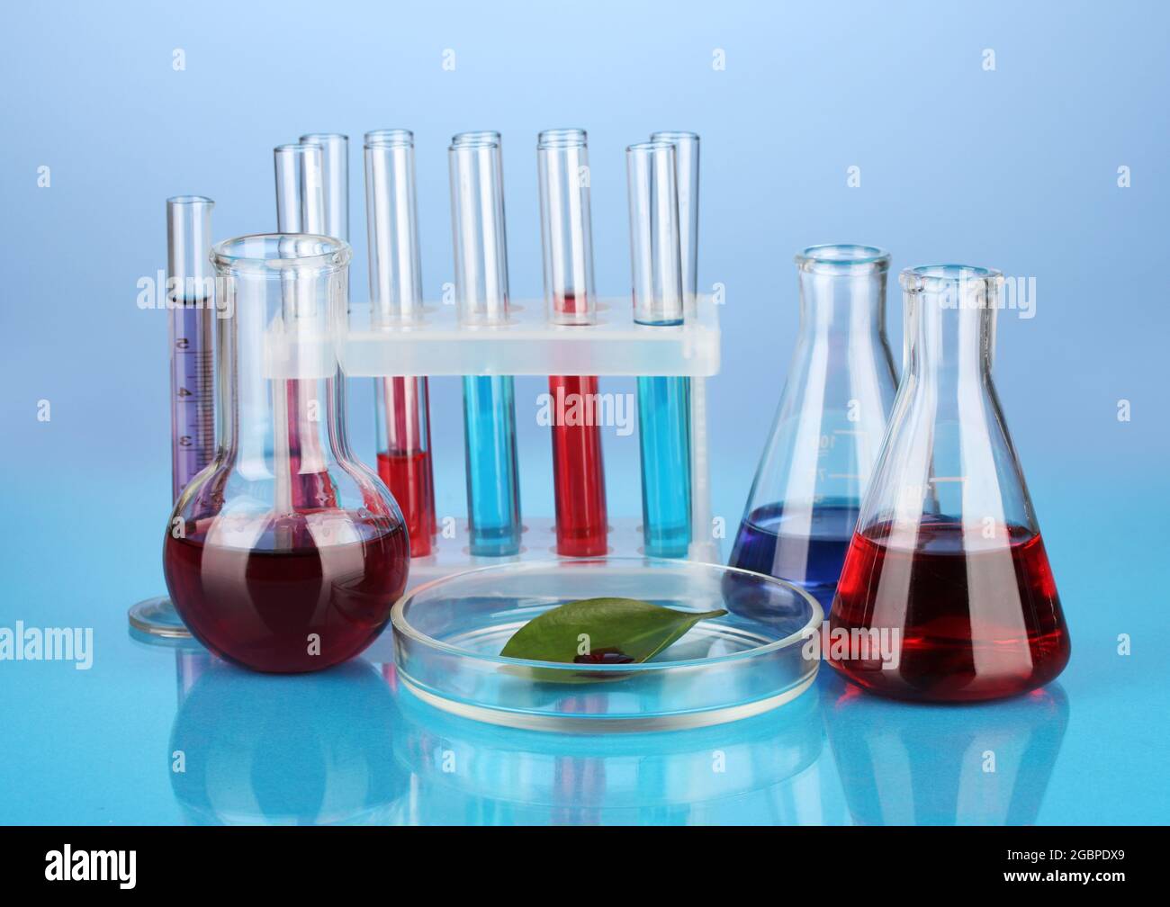 Test-tubes and green leaf tested in petri dish, on color background ...