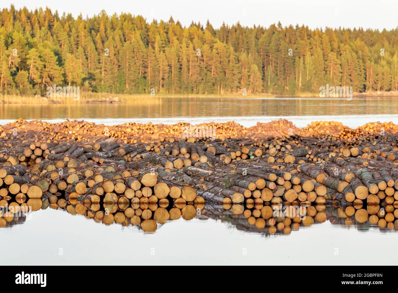 Finnish timber industry river hi-res stock photography and images - Alamy