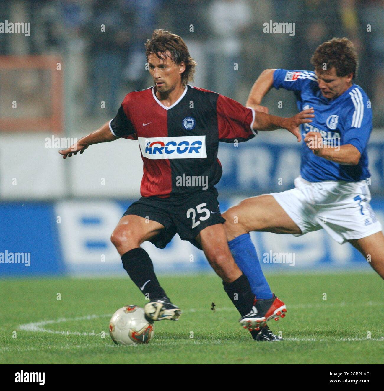 Rob maas hi-res stock photography and images - Alamy