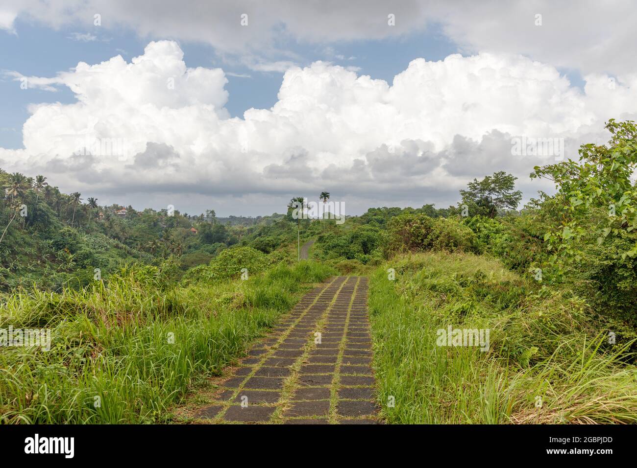 Ubud campuhan ridge walk hi-res stock photography and images - Alamy
