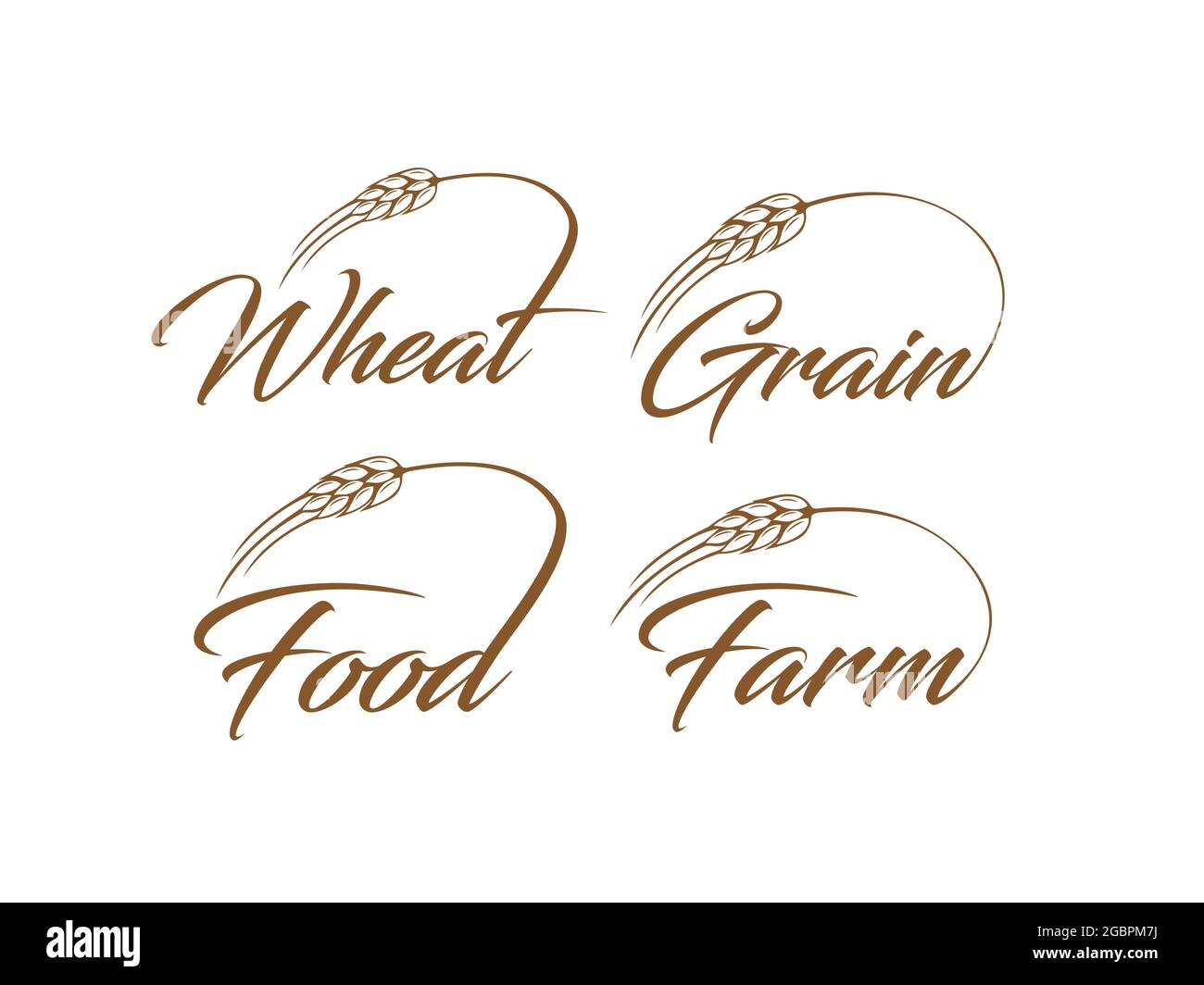 A vector Illustration of Wheat, Grain, Farm and Food Wordmark Sign in ...