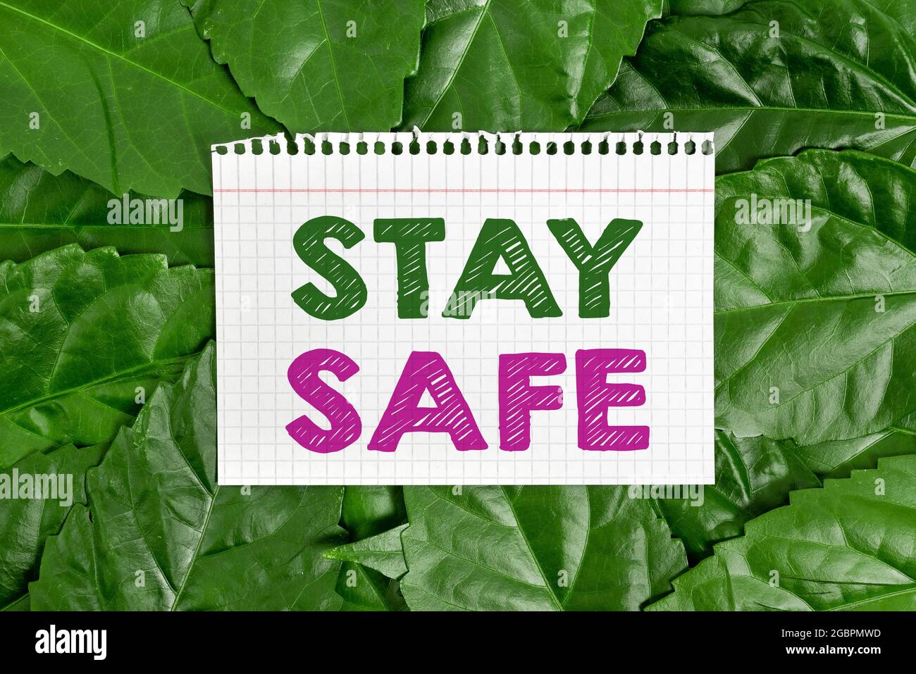 Protected sheltered conservation nature hi-res stock photography and ...