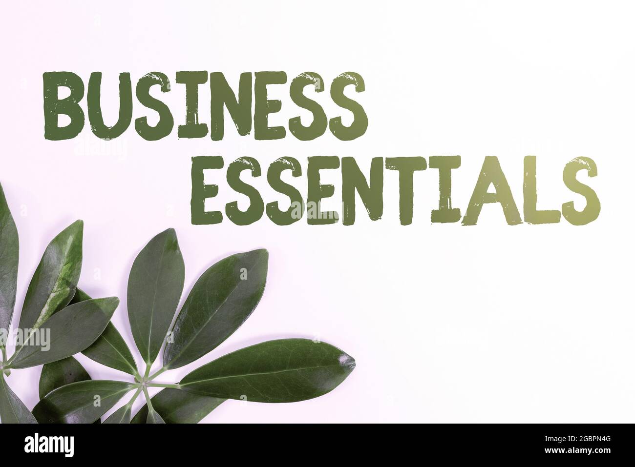 Sign displaying Business Essentials. Concept meaning important key ...