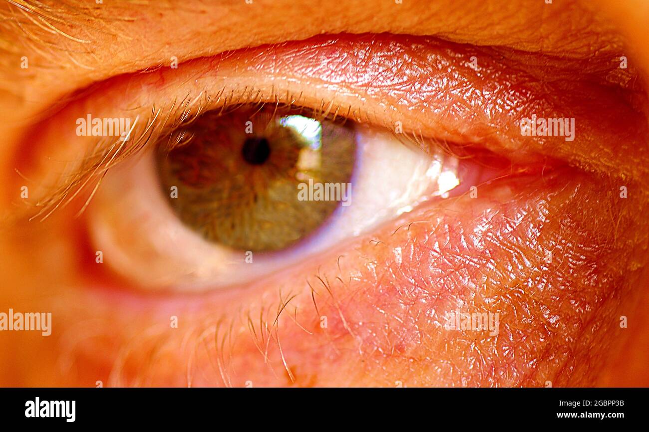 Closeup view human eye hi-res stock photography and images - Alamy
