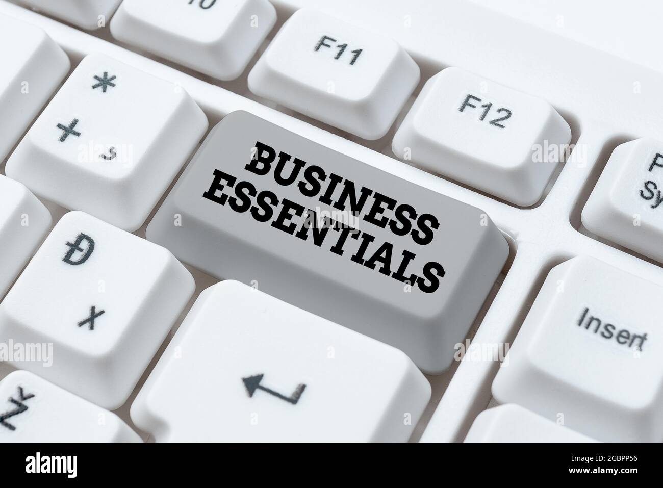 Sign displaying Business Essentials. Word for important key ideas to ...