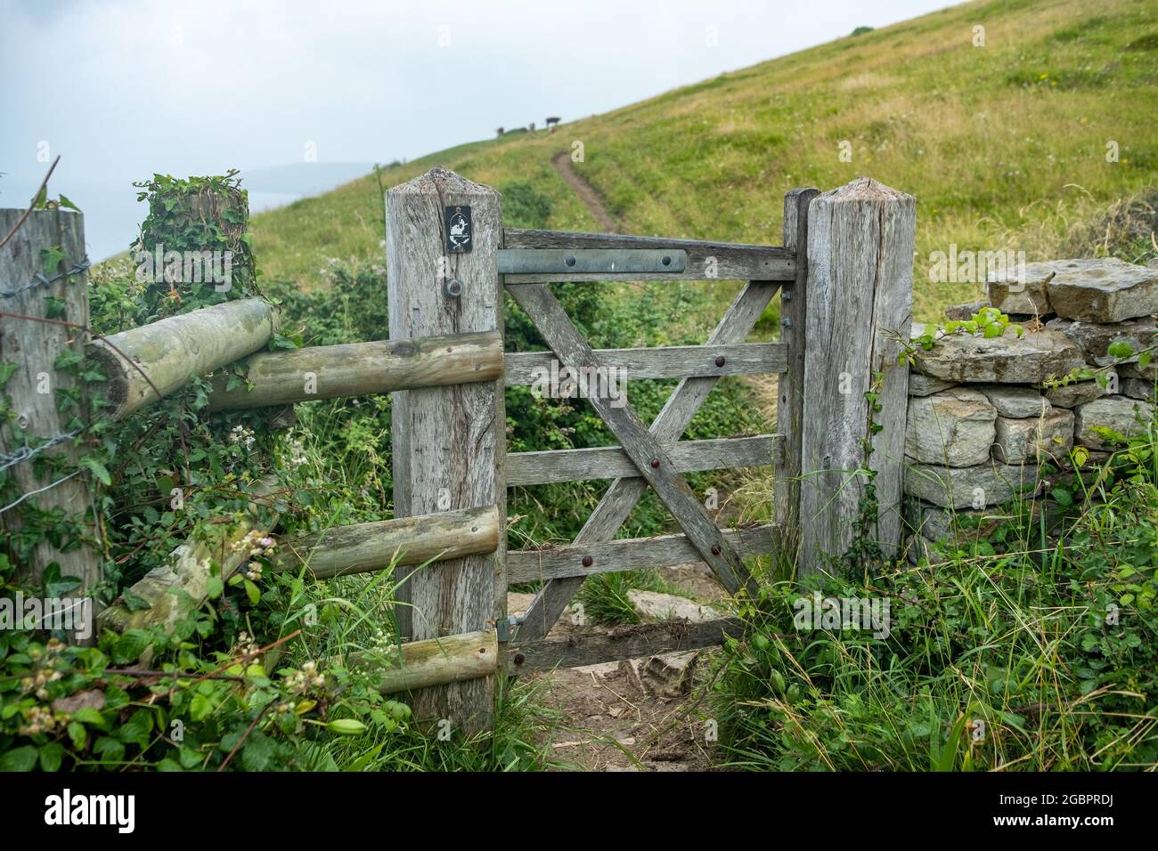 Dorset- Views from the Coastal path along the Jurassic Coast near ...