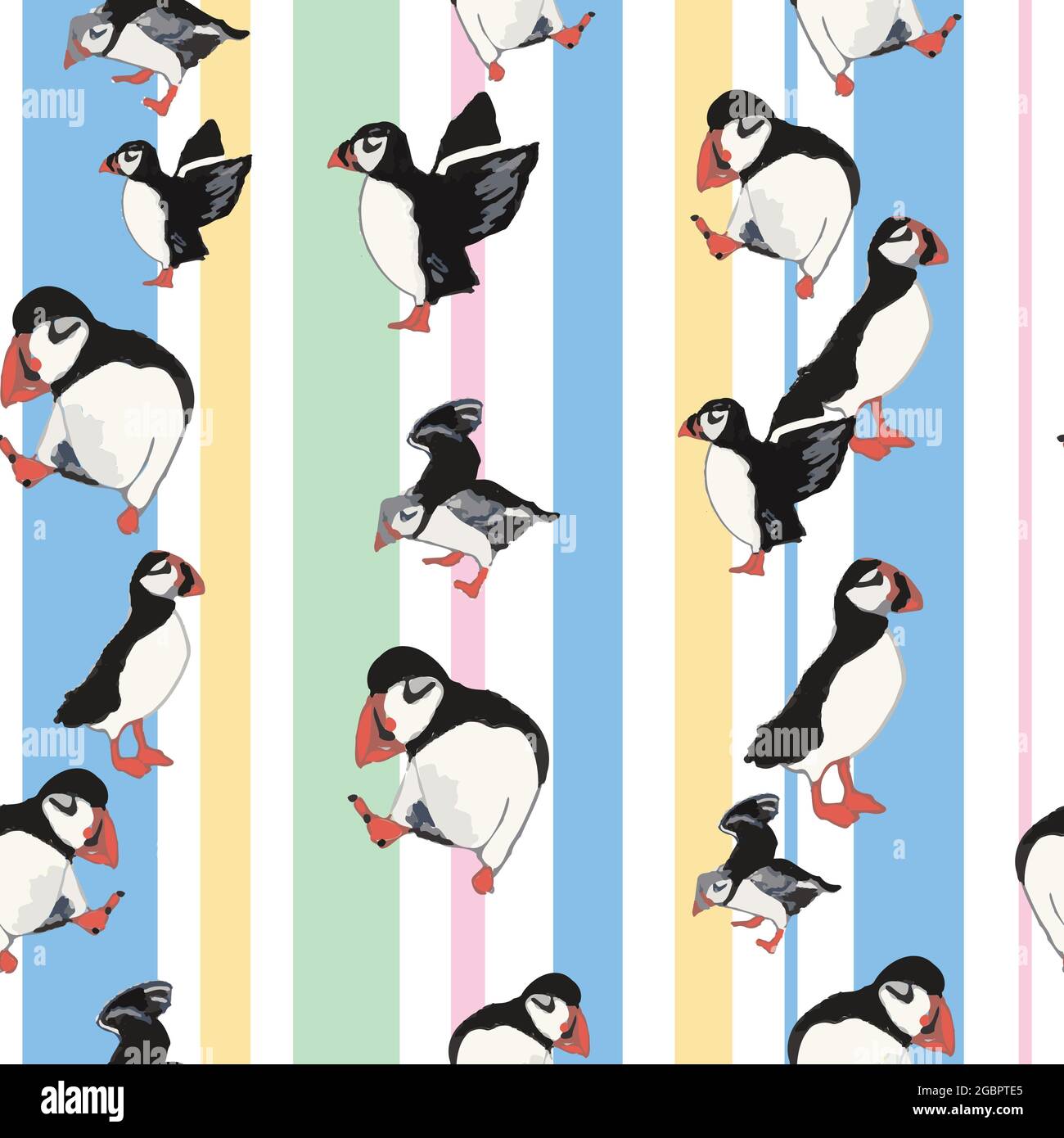 Vector white background ocean seabird, arctic birds, puffins. Seamless ...