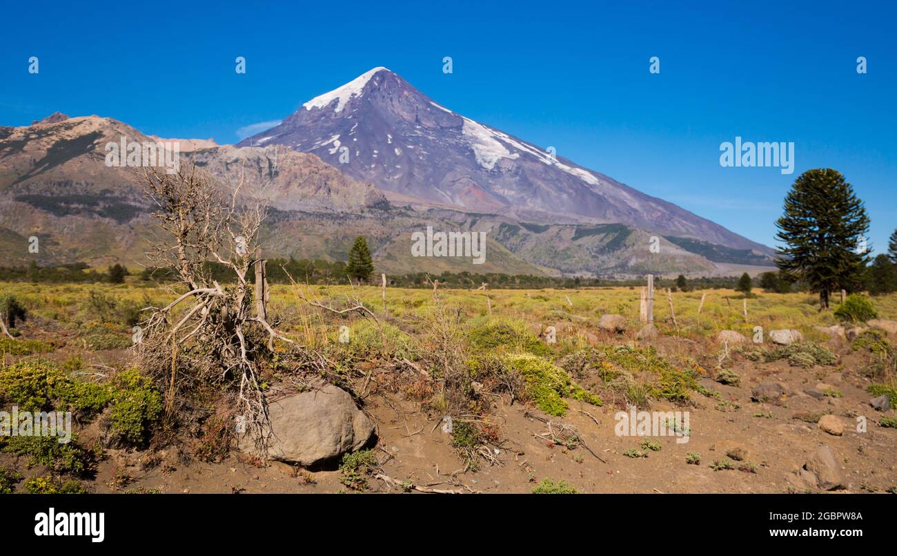 View of Lanin Volcano in National Park of Argentina Stock Photo - Alamy
