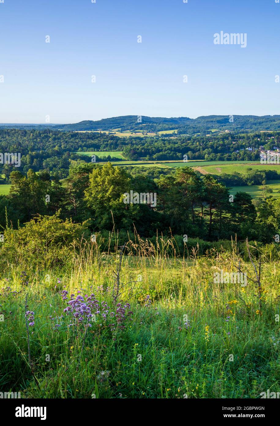 Surrey hills hi-res stock photography and images - Alamy