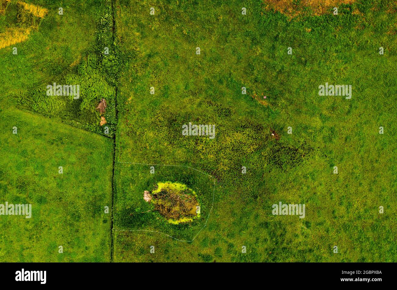 Background of grass and pasture shot from above with a drone ...