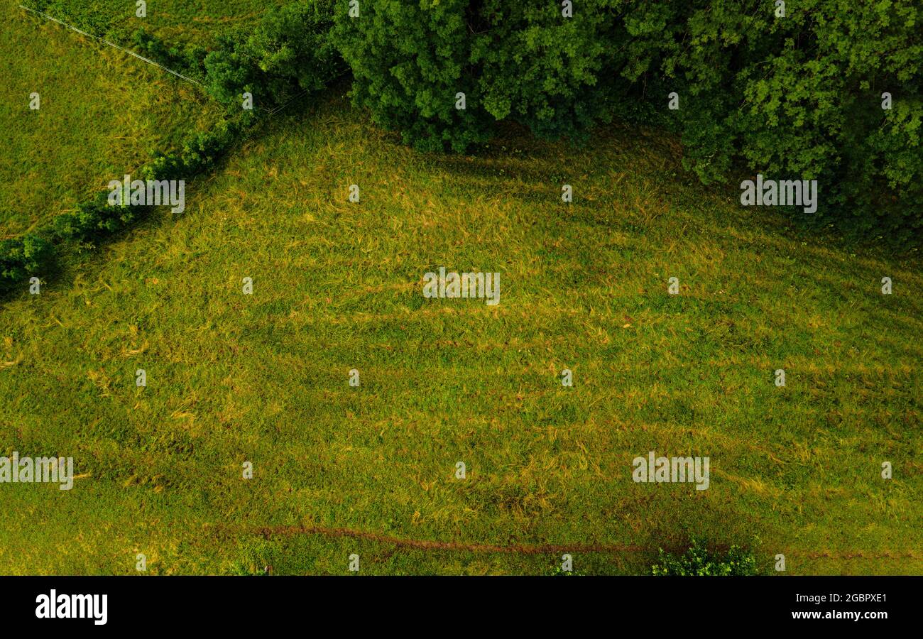 Background of grass and pasture shot from above with a drone ...